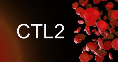 039 CTL2 Alleles | The International Society of Blood Transfusion (ISBT)